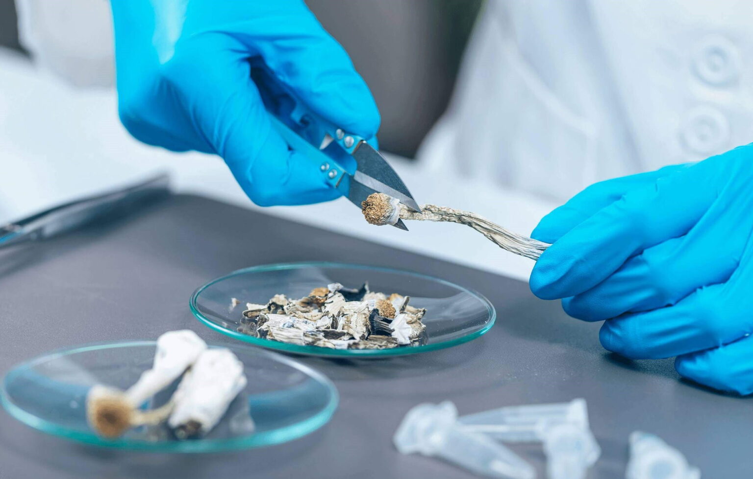 Kingston Hospital Launches Groundbreaking Psilocybin Microdosing Trials