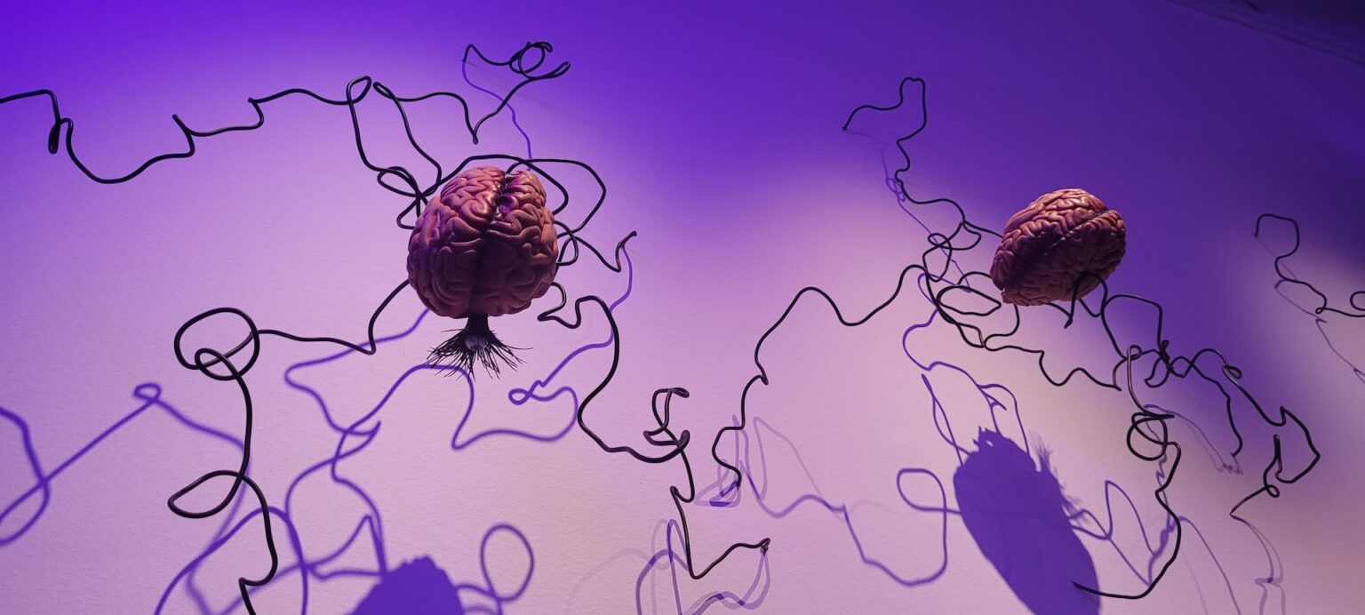 Australia Tops Global AI Usage with Over 5 Million Interactions Per Capita