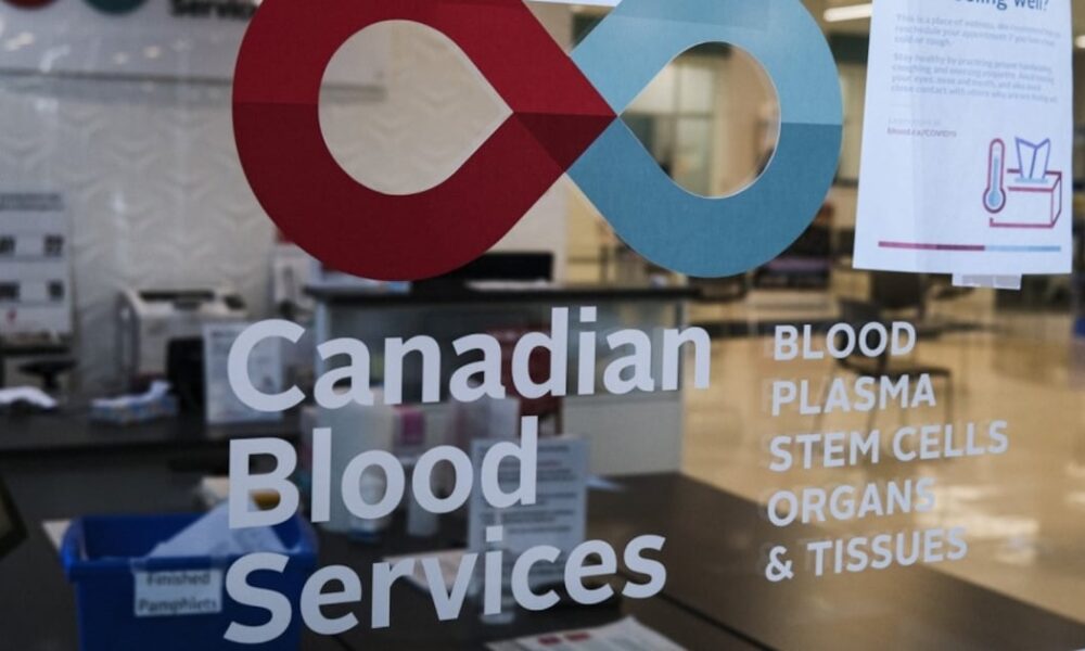 Newfoundland Premier Honors Pioneering Neurosurgeon Dr. Maroun